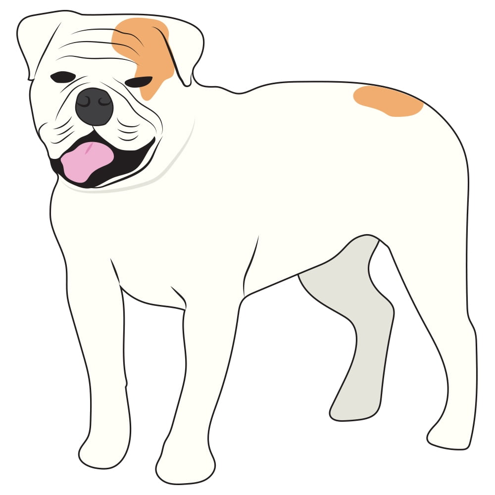 American Bulldog Decal | Indoor/Outdoor | Dog Lover Super Cute Sticker ...