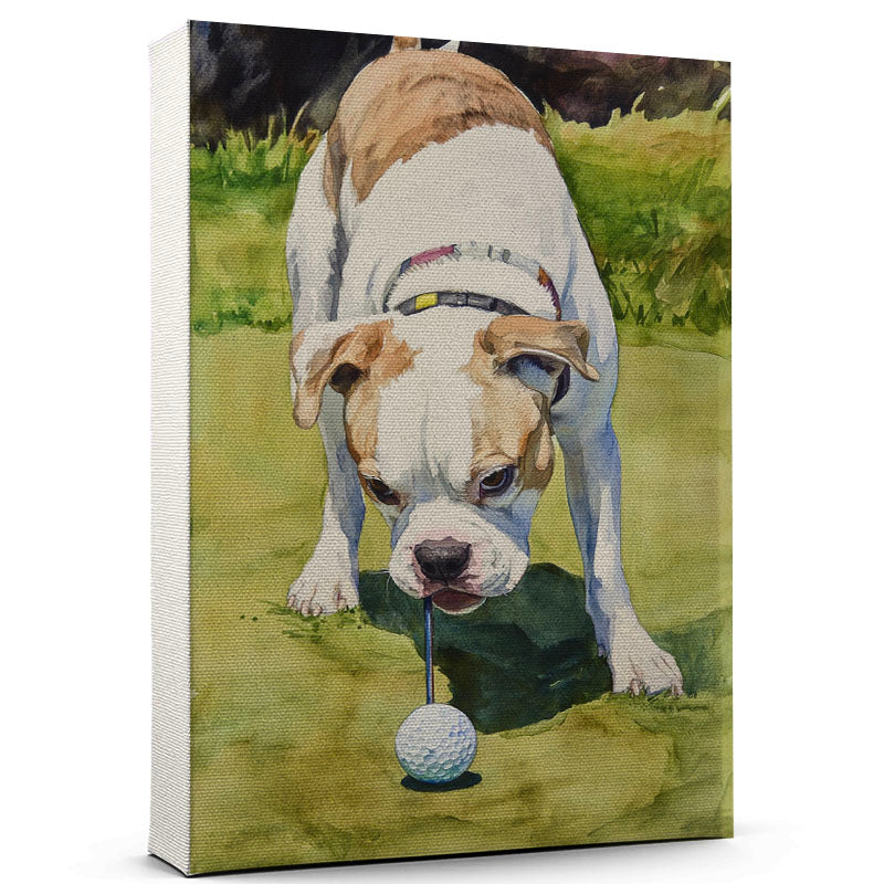 American Bulldog Dog Canvas Golf Canvas – Funny American Bulldog Dog ...