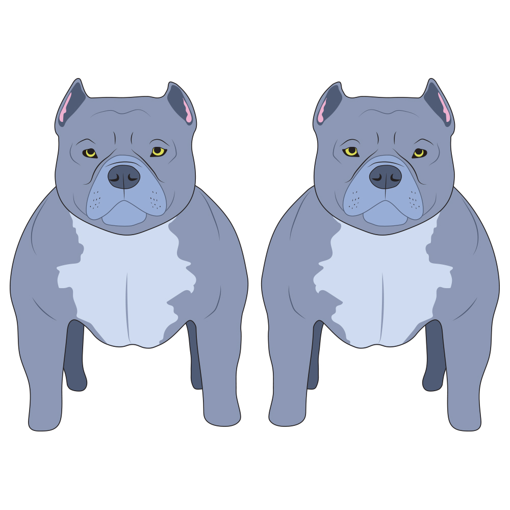 American Bully Decal | Indoor/Outdoor | Dog Lover Super Cute Sticker ...