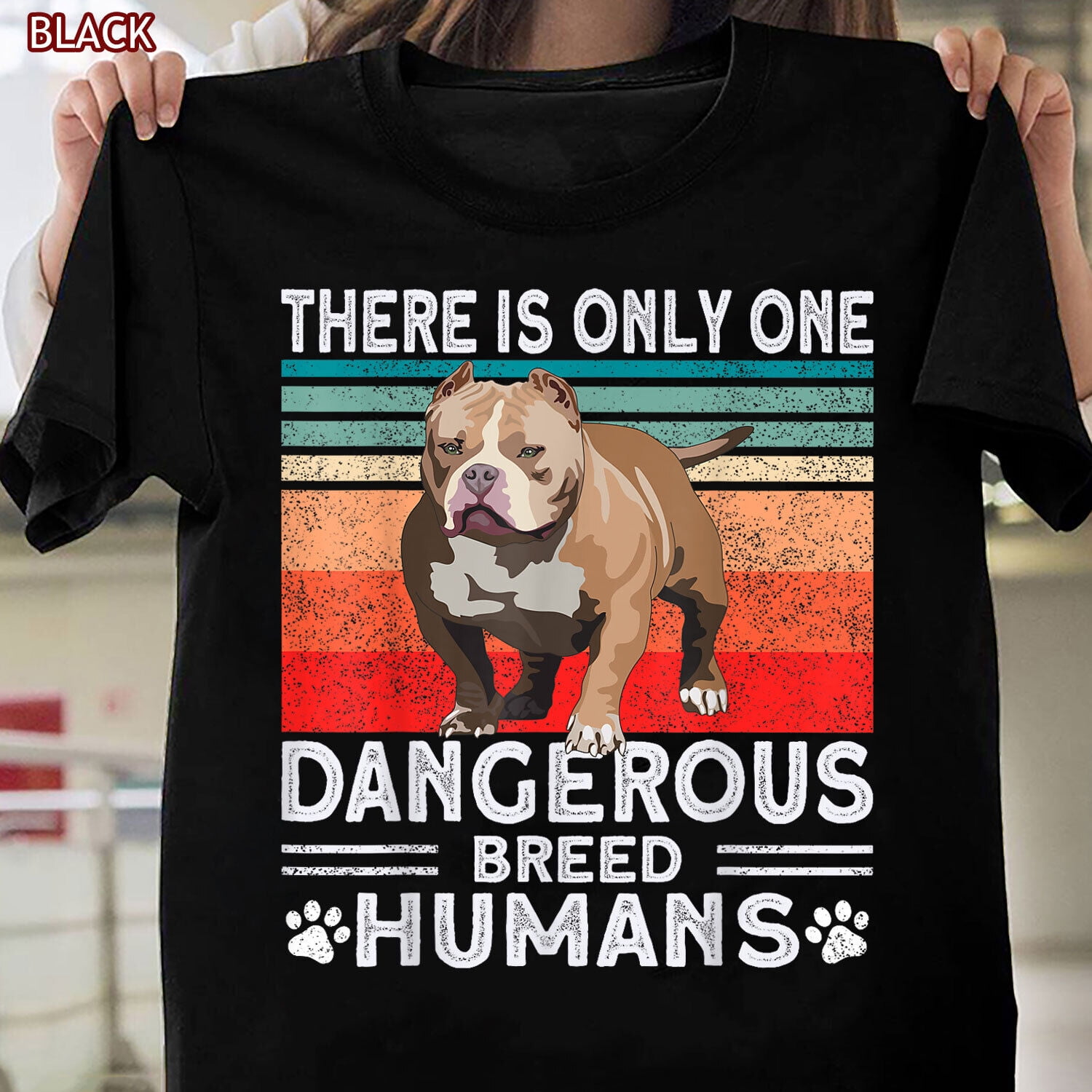 American Bully T-Shirt, Only Dangerous Breed Humans XL Pitbull Dog ...