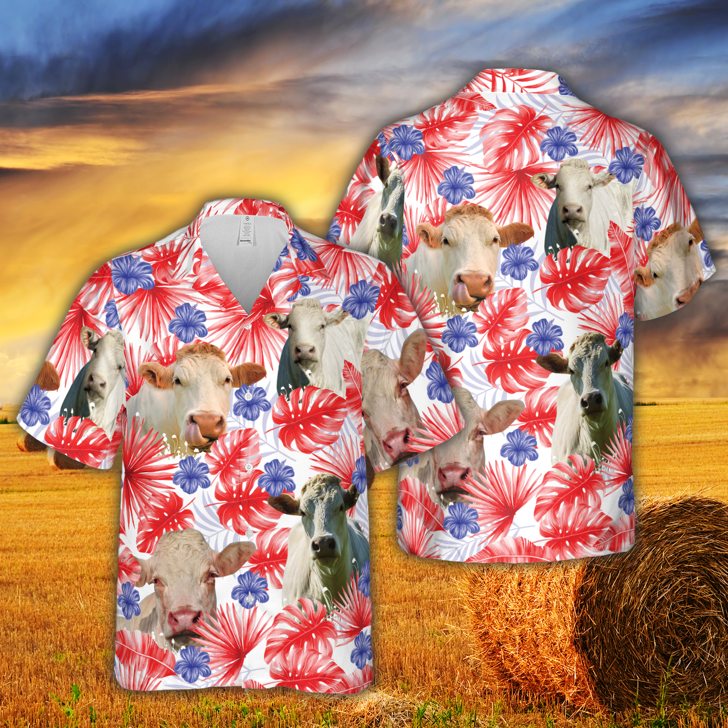 American Colors Charolais Cattle Hawaiian Shirt - Walmart.com