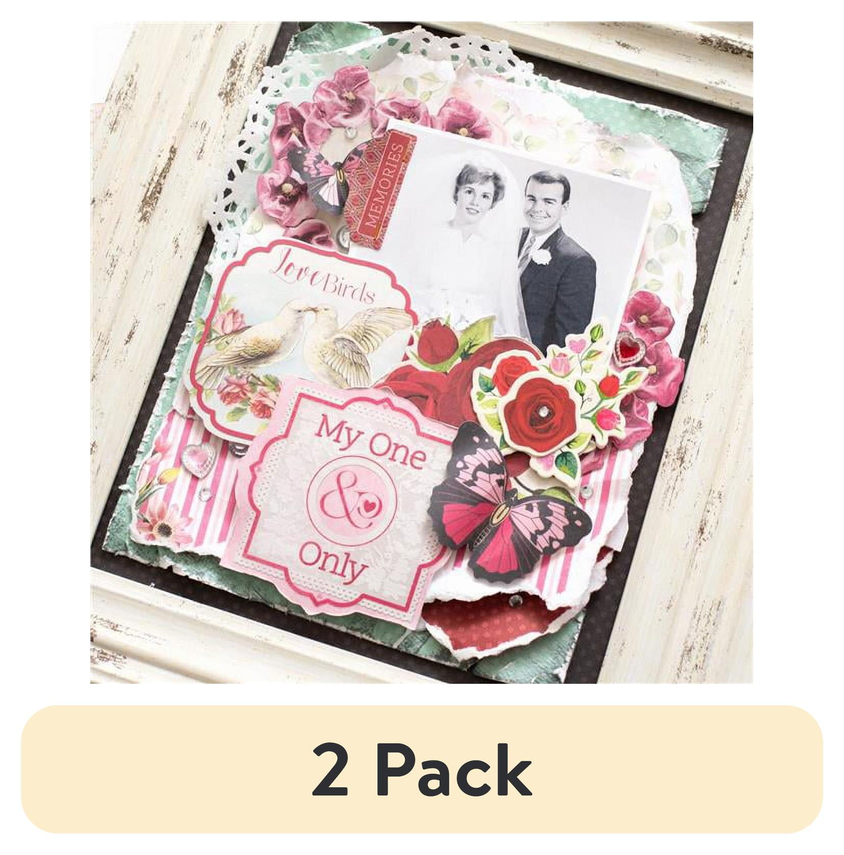 (2 pack) American Crafts 7310944 Bo Bunny - Count The Ways Collection ...