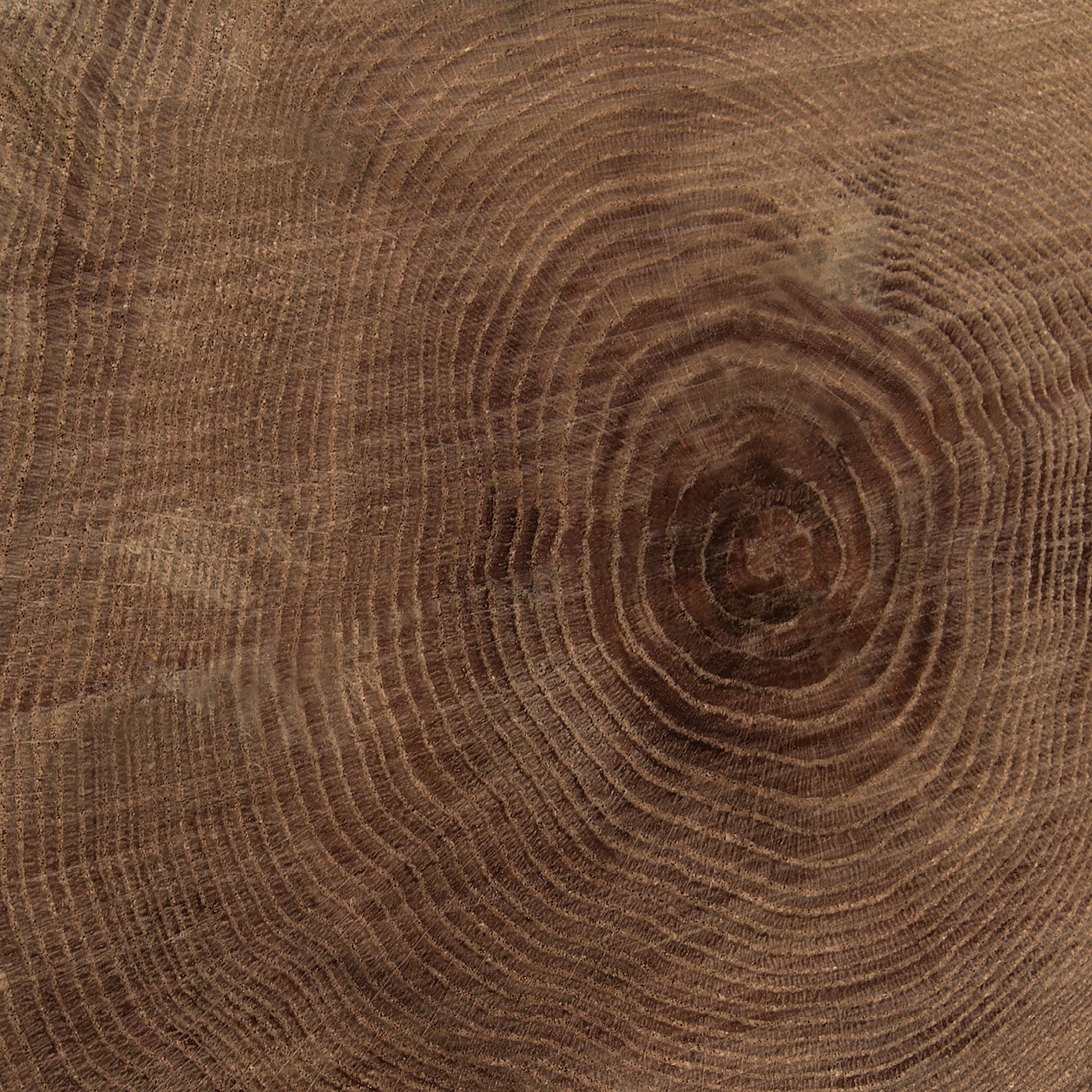 American Crafts Everyday Single-Sided Cardstock 12"X12"-Wood Knot ...
