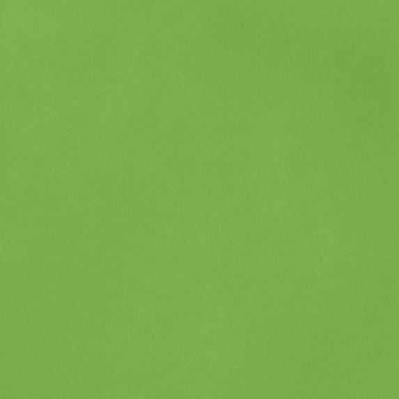 American Crafts Smooth Cardstock 12"X12"-Grass - Walmart.com