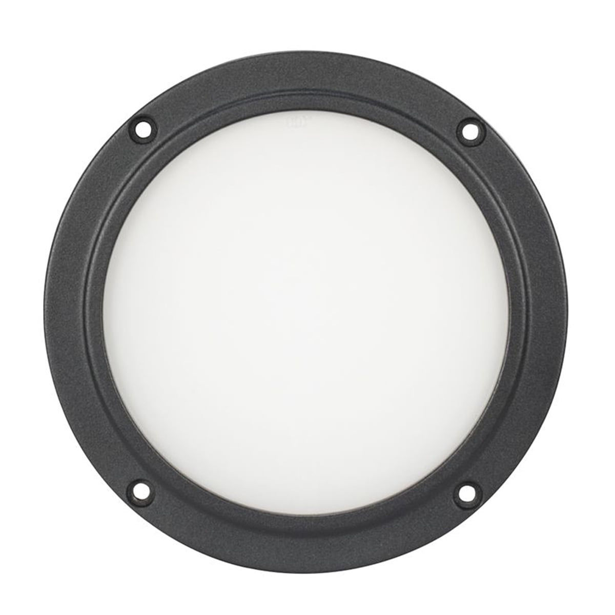 American DJ ELP5L60 60° Degree Beam Angle Frost Filter For Encore LP5IP ...
