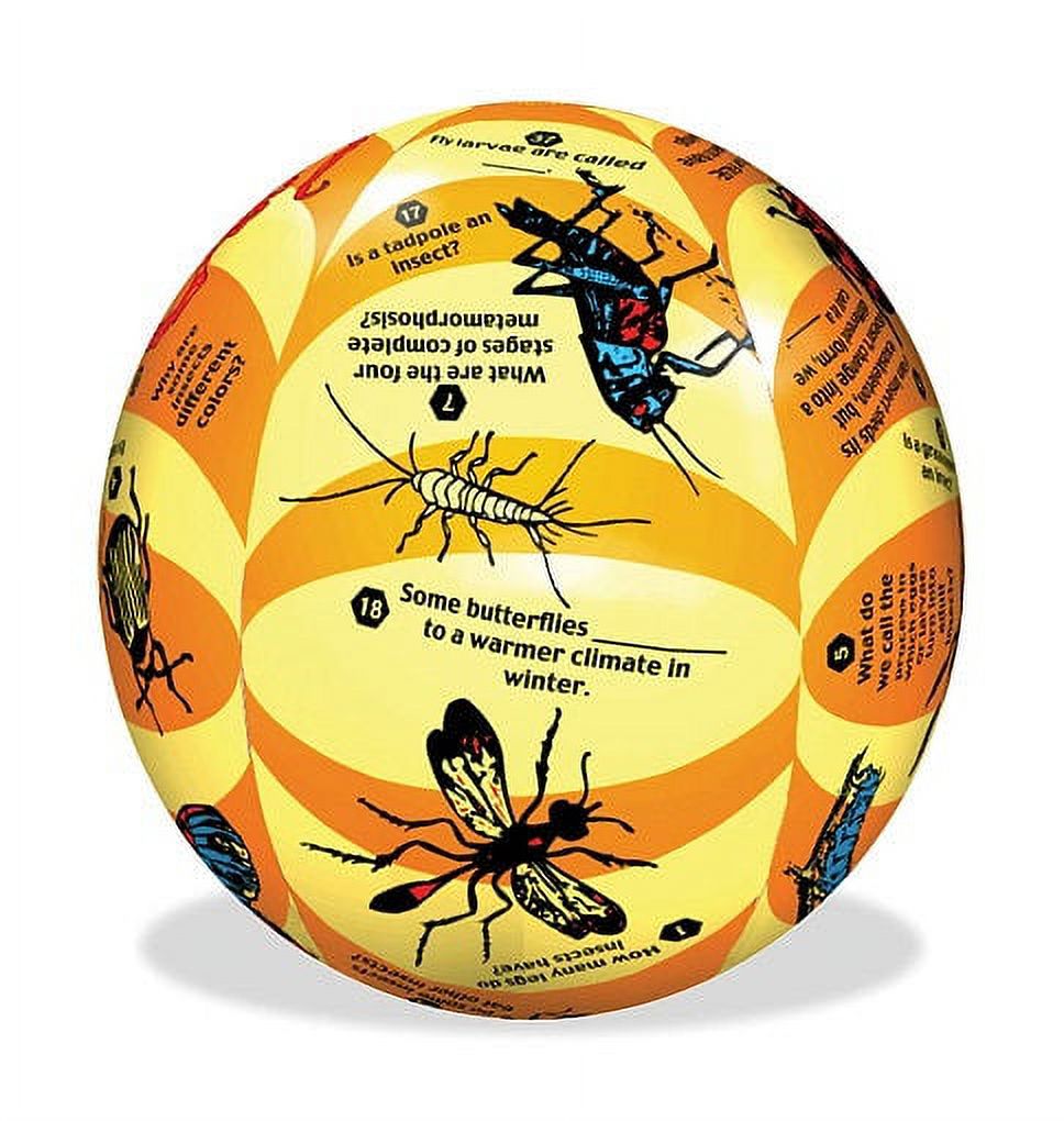 American Educational Insects Clever Catch 24" Inflated Ball In Orange ...