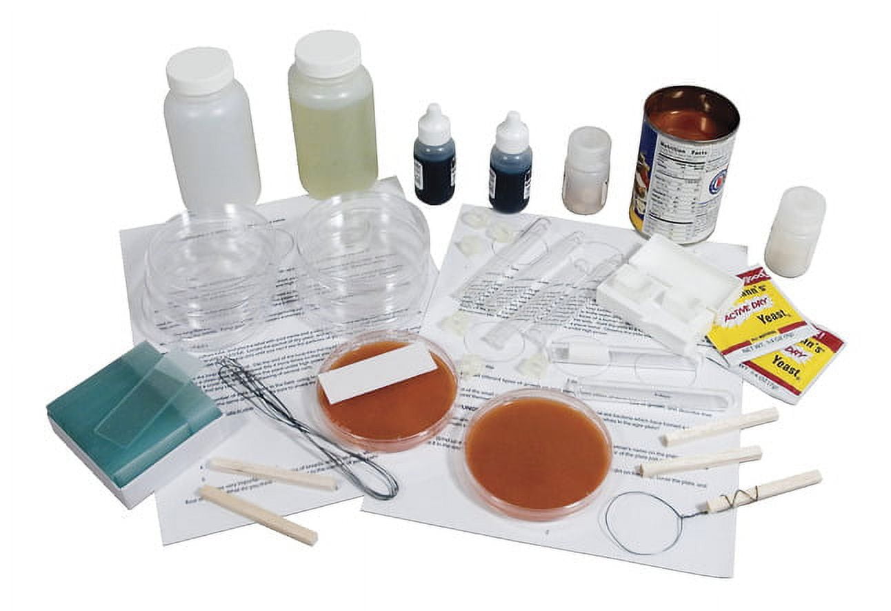 American Educational Products R-100868 Introduction into Microbiology ...