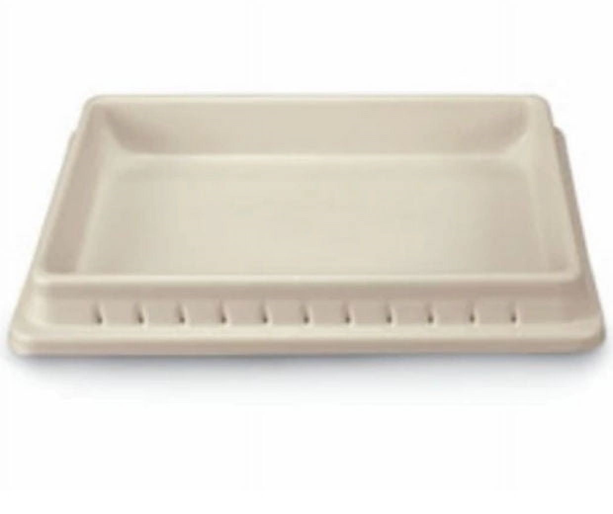 American Educational Products Standard Dissecting Pan 10" x 7 ...