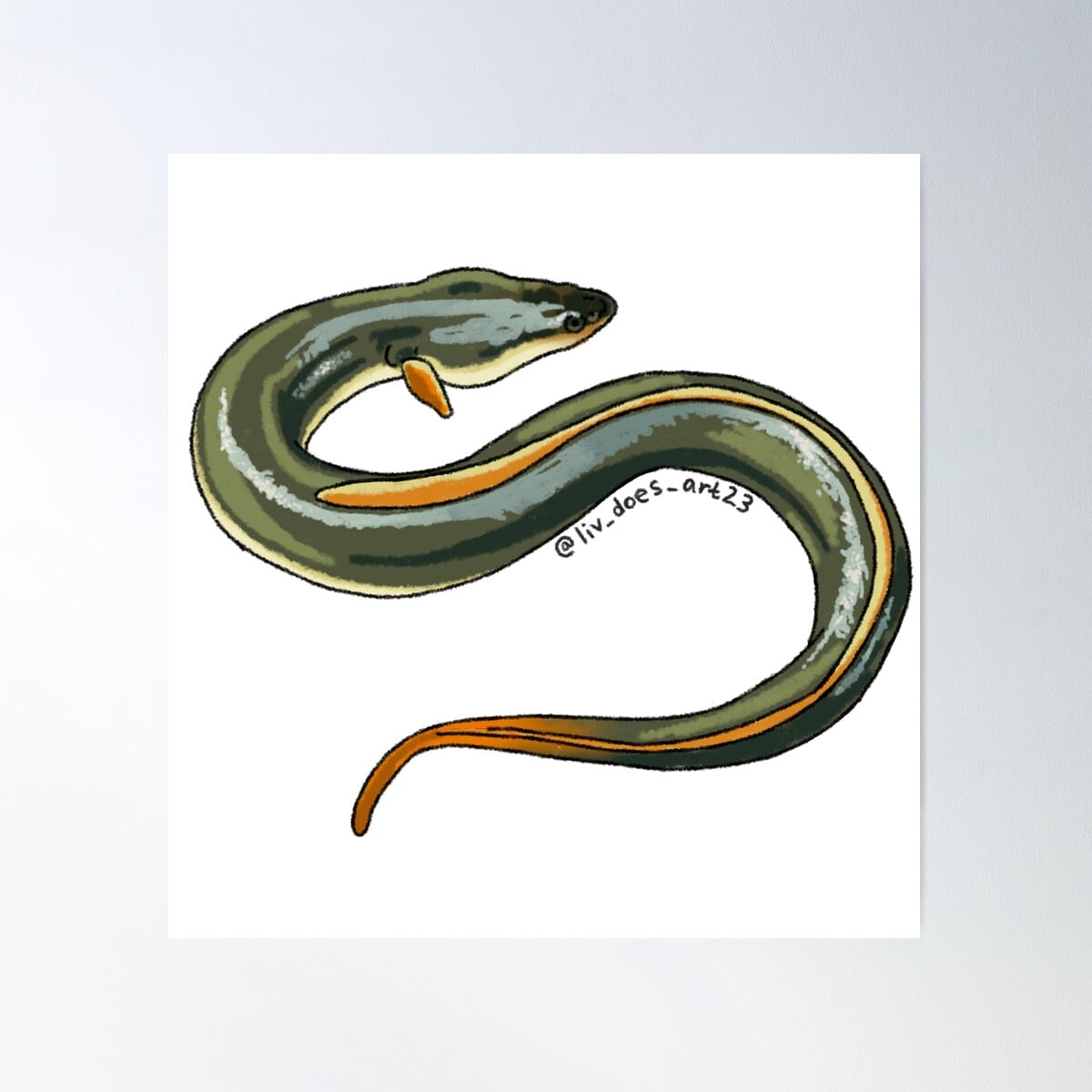 American Eel Poster Wall Art, Modern Wall Decor For Living Room Bedroom ...