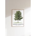 American Elm Tree : North Dakota State Symbol Unframed Paper Print ...