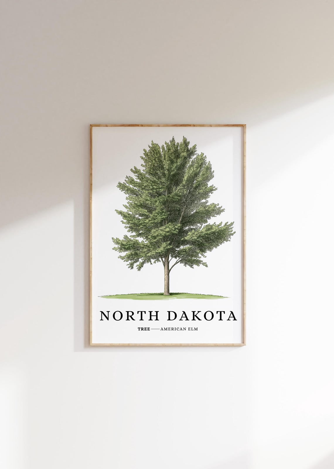 American Elm Tree Poster: North Dakota State Symbol, Unframed Canvas ...