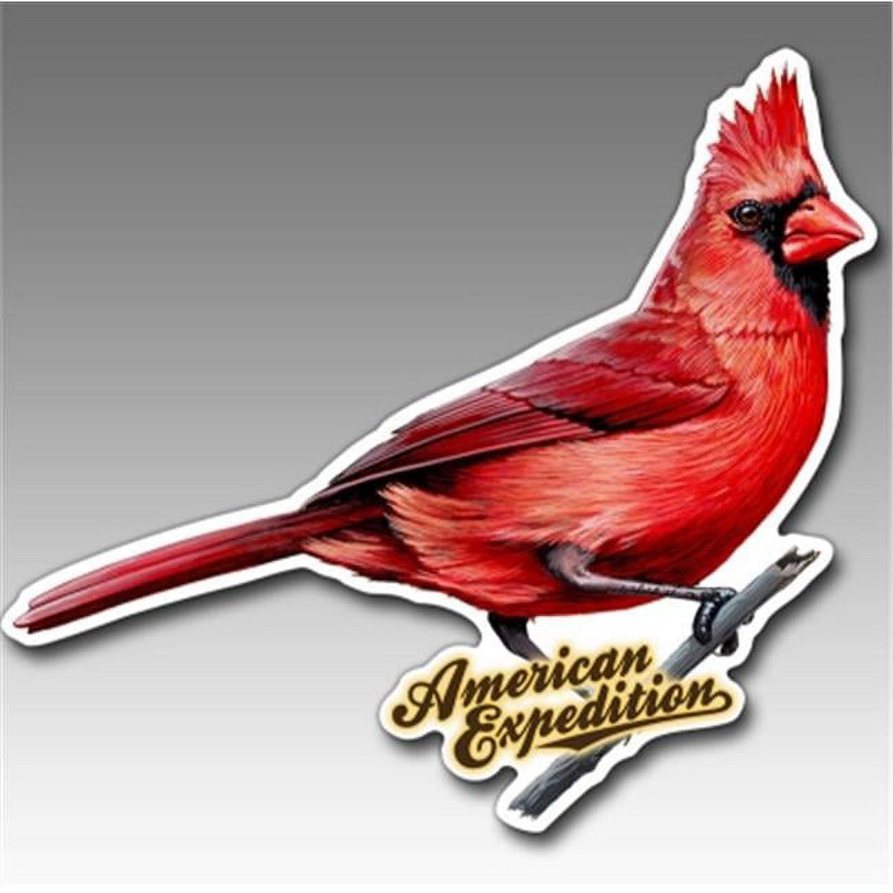 American Expedition CMAG-128 Car Magnet - Cardinal - Walmart.com