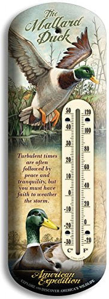 American Expedition Mallard Tin Back Porch Thermometer - Walmart.com