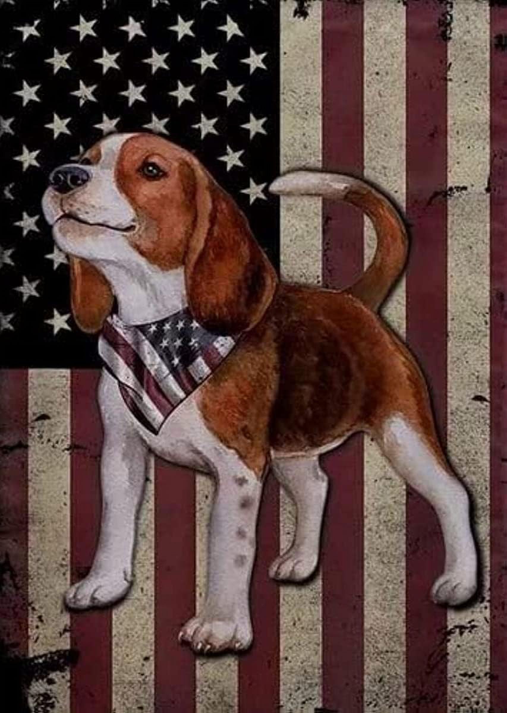 American Flag 1000 Pieces Adult Puzzle Thick and Sturdy Puzzle ...