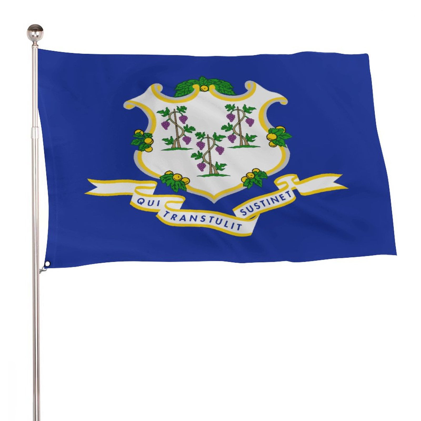 American Flag, Connecticut Flag, Heavy Duty Polyester Falgs, Single ...