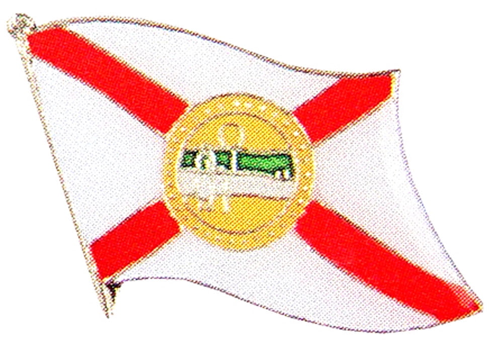 U.S. States Florida Flag Lapel Pin - Officially Licensed, Novelty ...