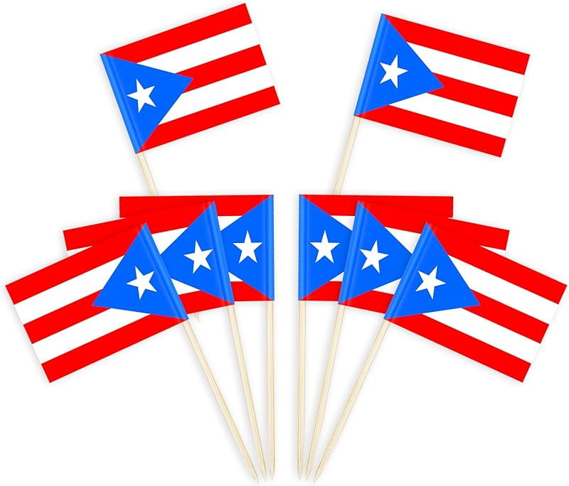 American Flag Toothpicks for Appetizers 100 Pcs Usa Flag Small American ...