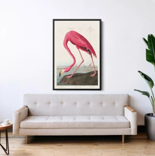 American Flamingo Poster, Pink Flamingo, NO FRAMED POSTER Home Decor ...