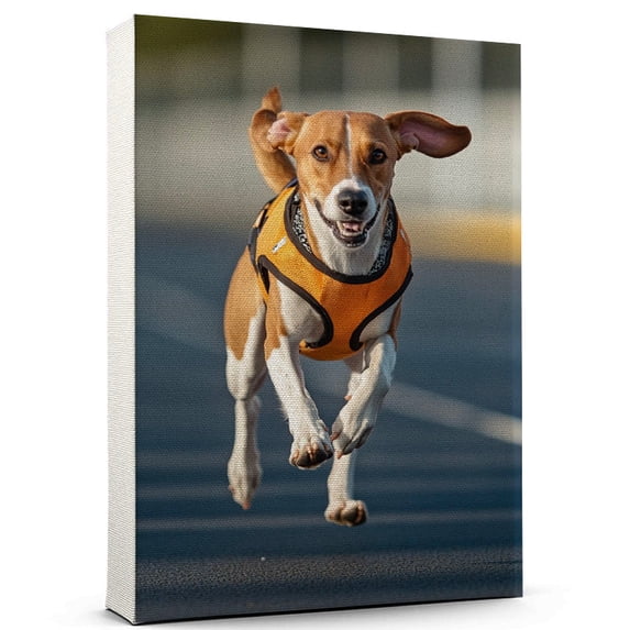 American Foxhound Dog Stretched Canvas Size 8x12 Running Canvas – Funny ...