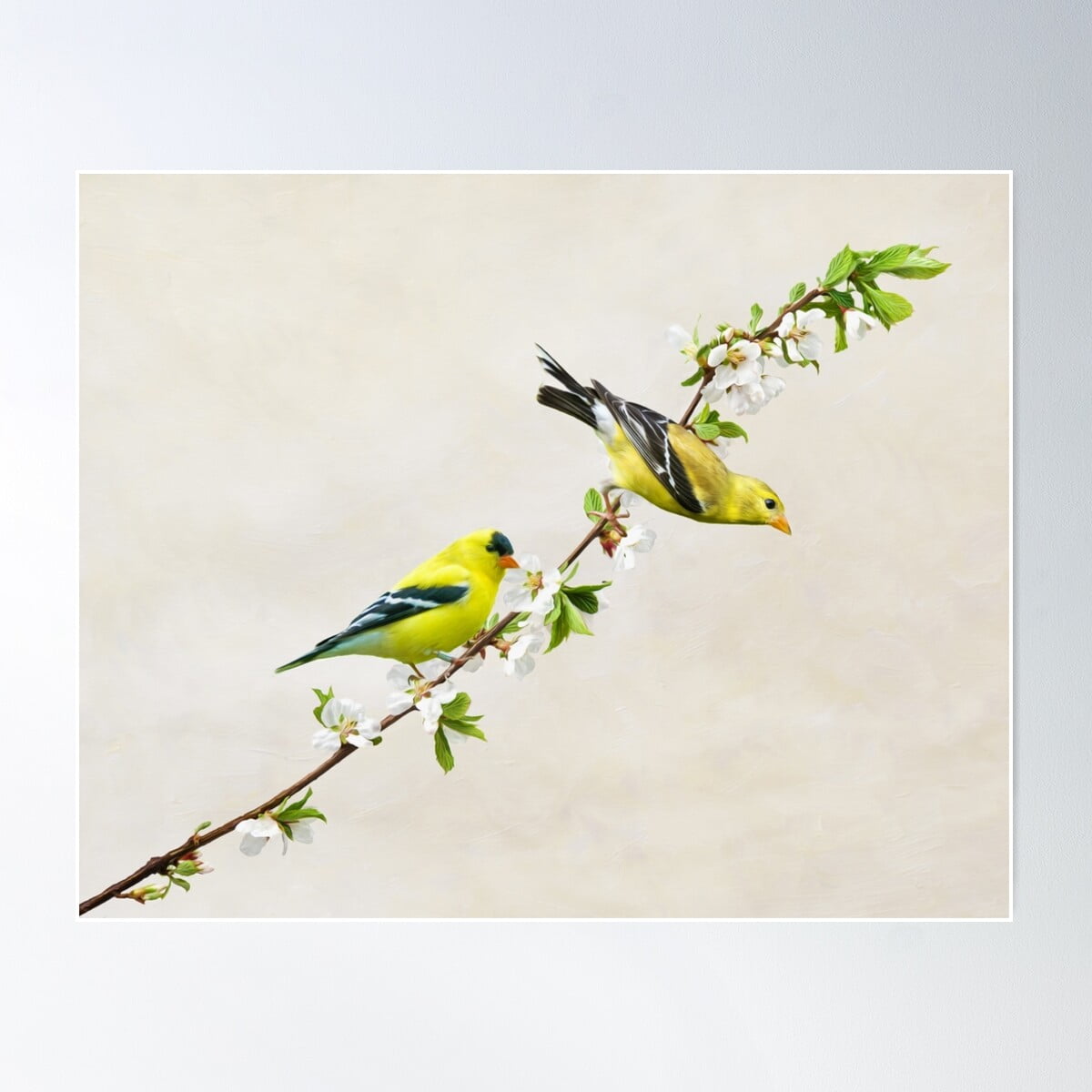 American Goldfinches On Cherry Tree Poster Wall Art, Modern Wall Decor ...