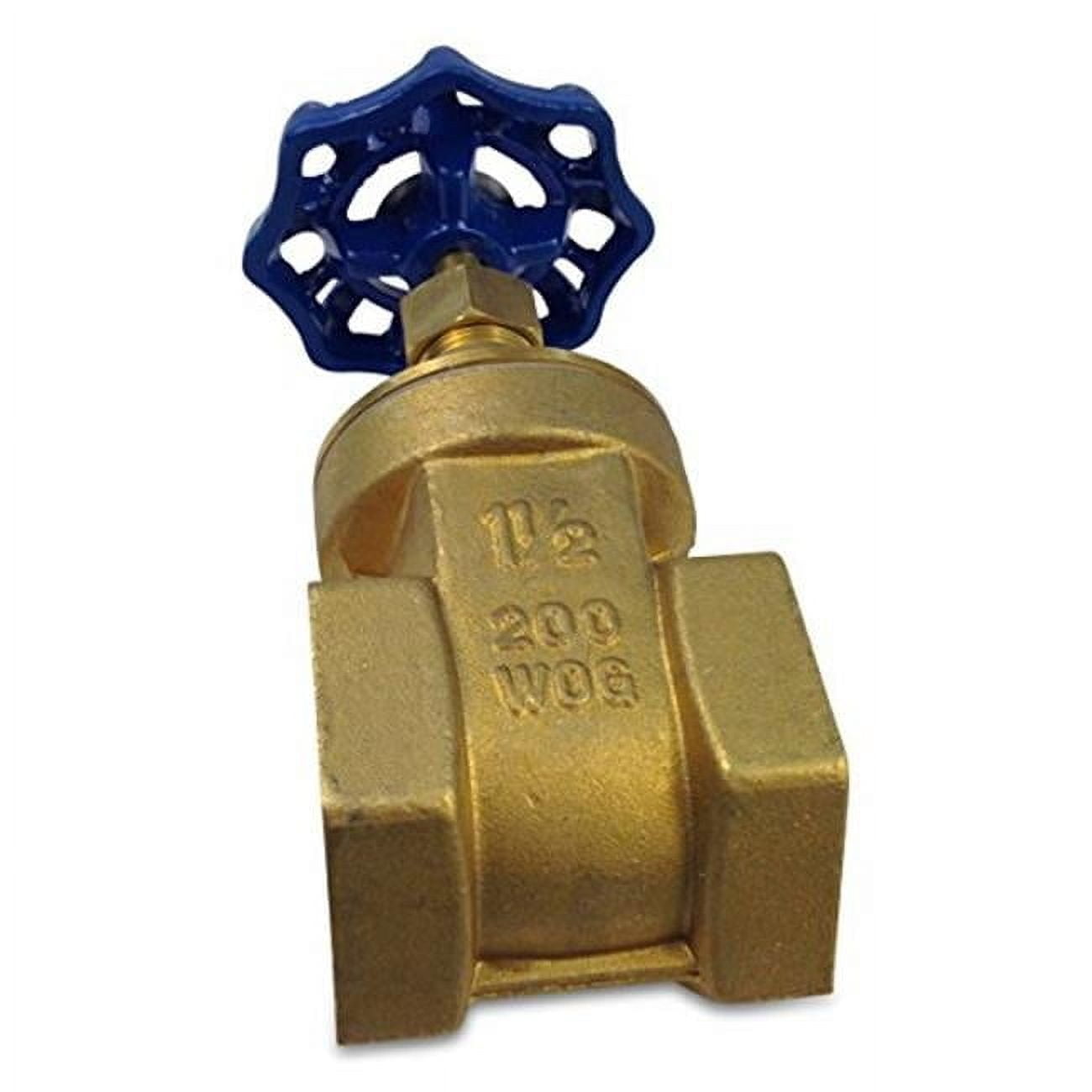 American Granby 1.5 in. Brass Steel Gate Valve - Walmart.com