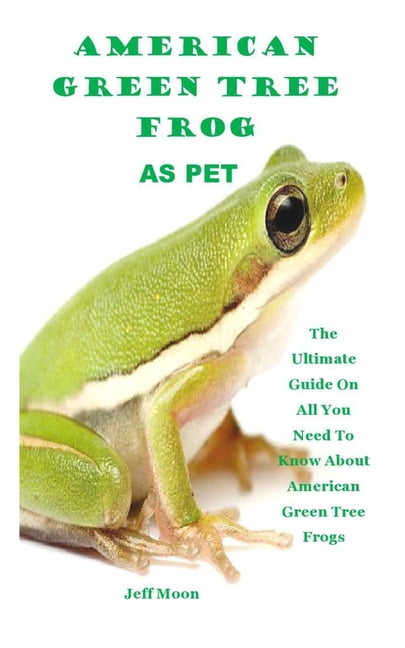 Green Tree Frog Pet