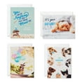 American Greetings Assorted Boxed Birthday Cards, Pets (4 Designs, 12 ...