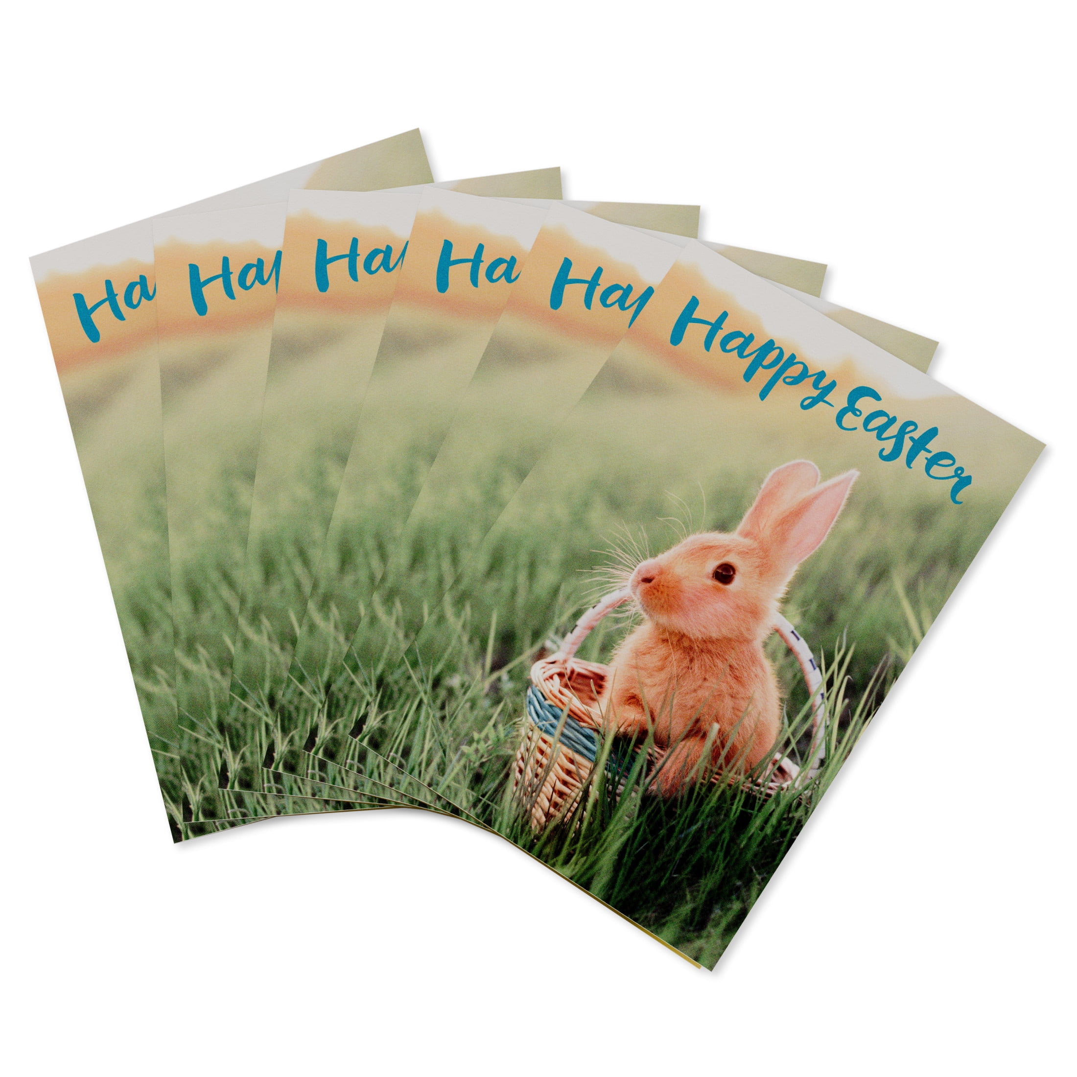 American Greetings Easter Card Bundle, Springtime Bunny (6-Count ...