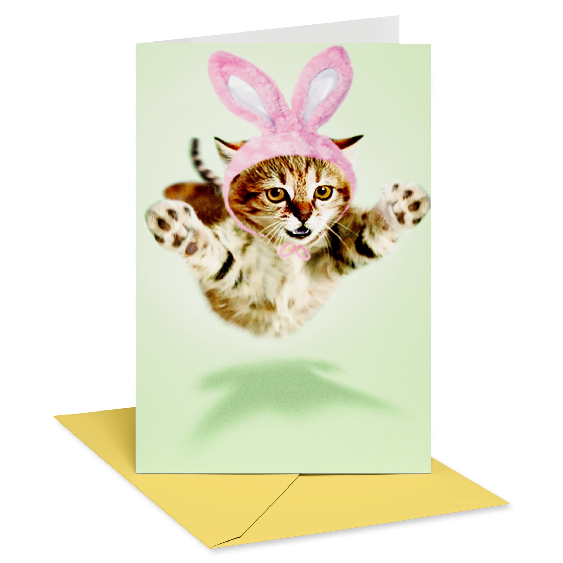 American Greetings Easter Card for Anyone (Big Easter Hug) - Walmart.com