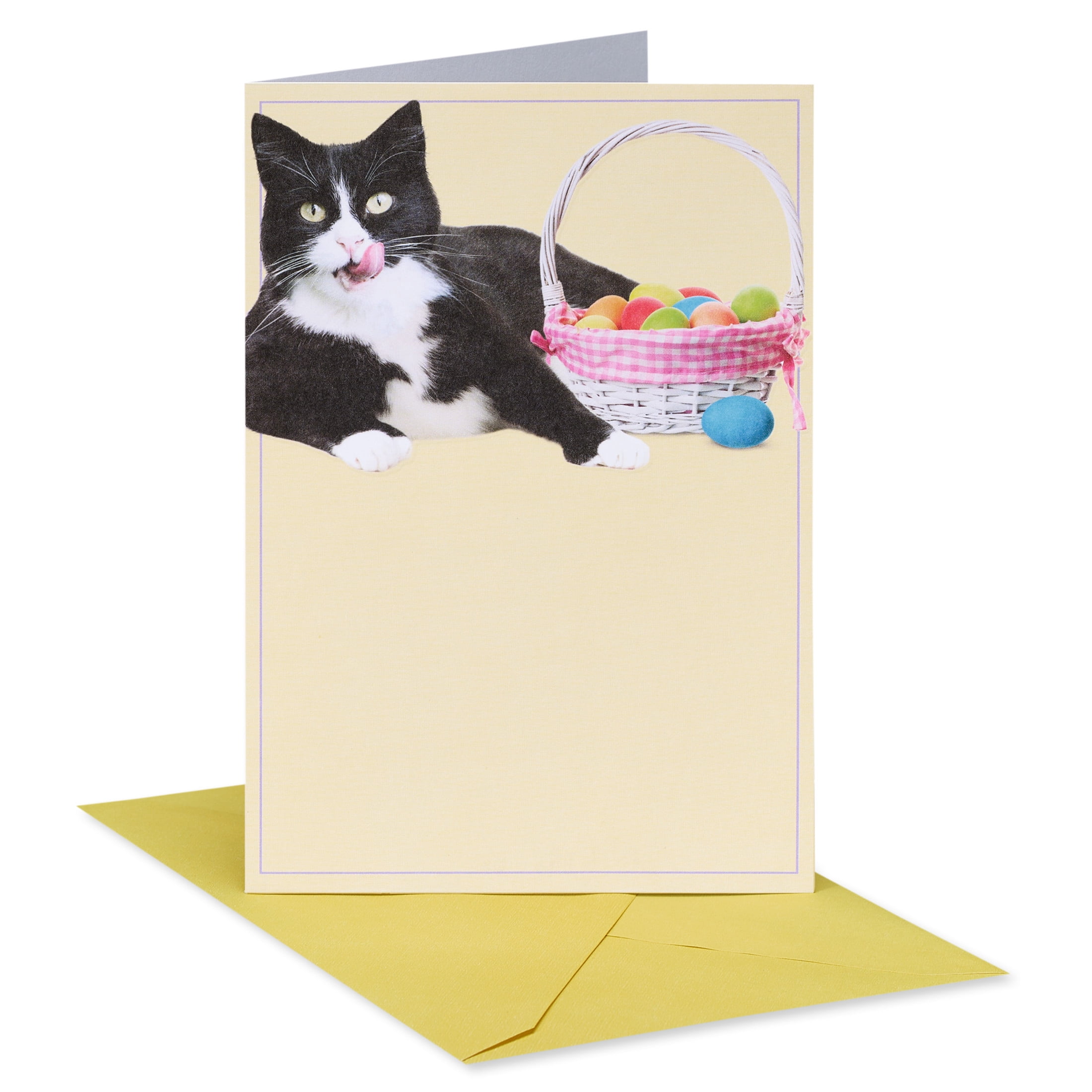 American Greetings Easter Card for Anyone (No Bunny, Just Eggs ...