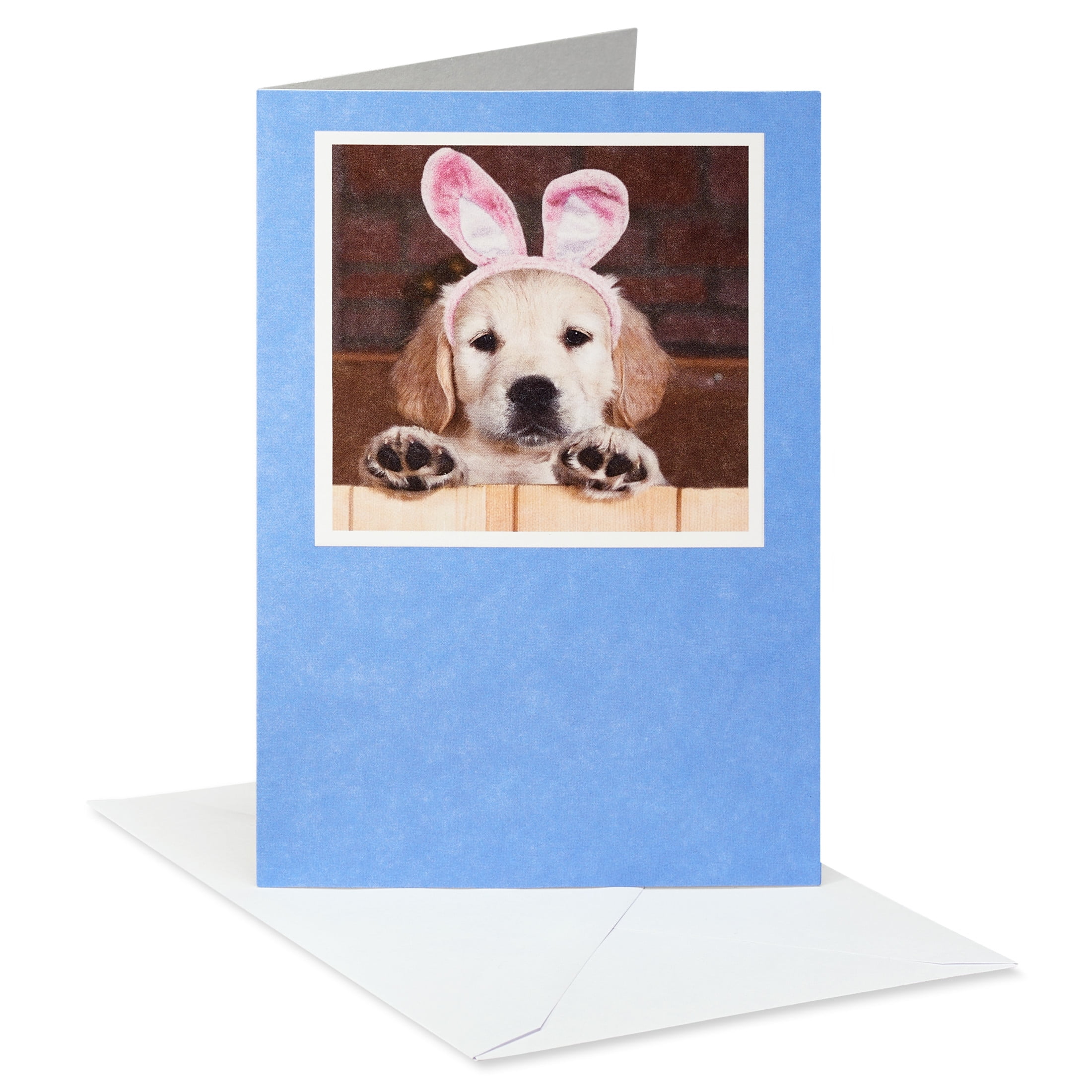 American Greetings Easter Card for Anyone (Pawsitively Wonderful ...