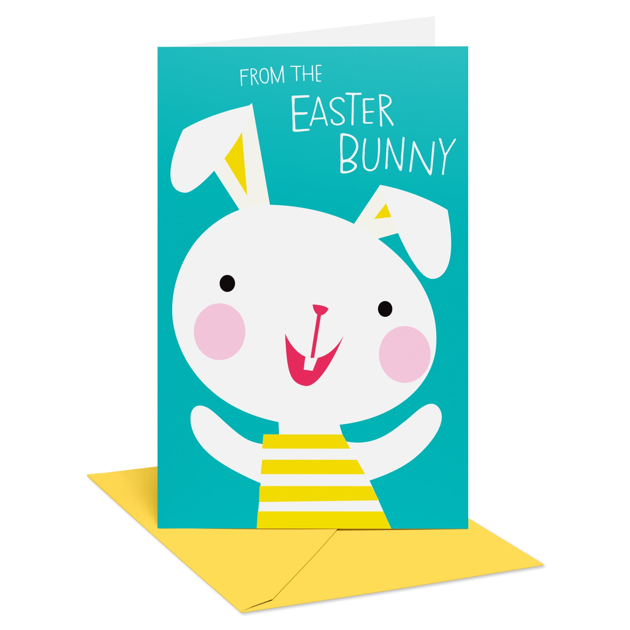 American Greetings Easter Card from the Easter Bunny (Special and Fuzzy ...
