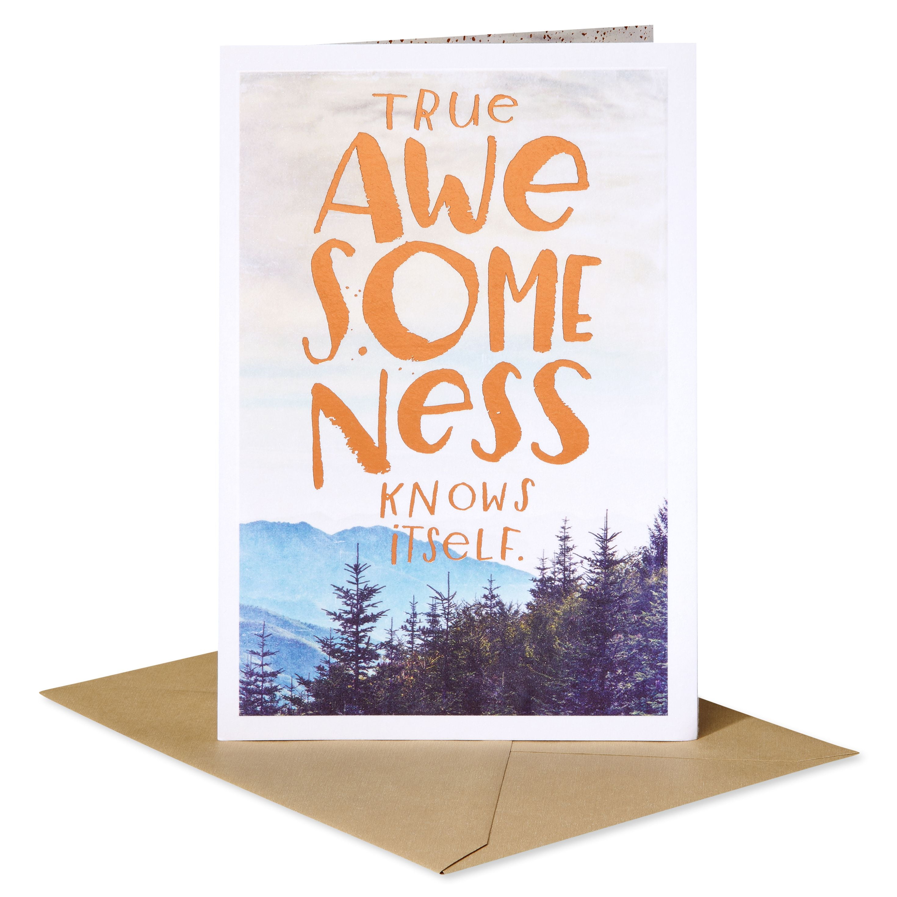 American Greetings Father's Day Card (True Awesomeness) - Walmart.com