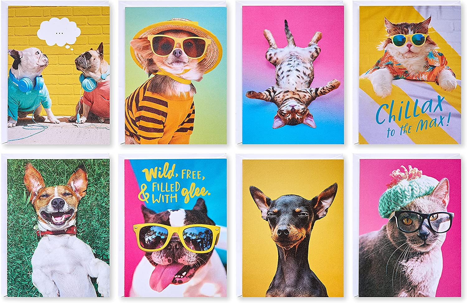 American Greetings Funny Blank Cards with Envelopes for All Occasions ...