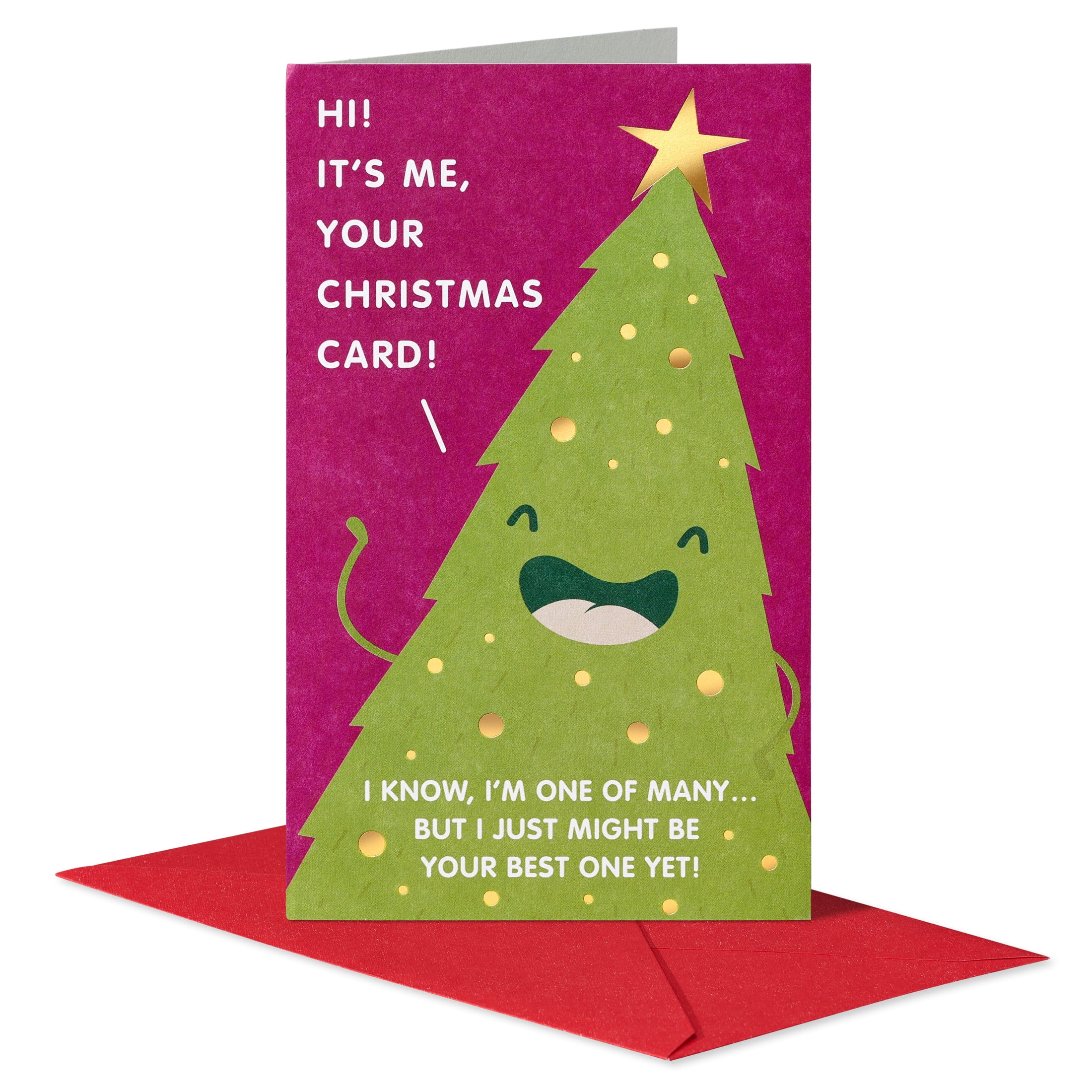 Funny Christmas Money