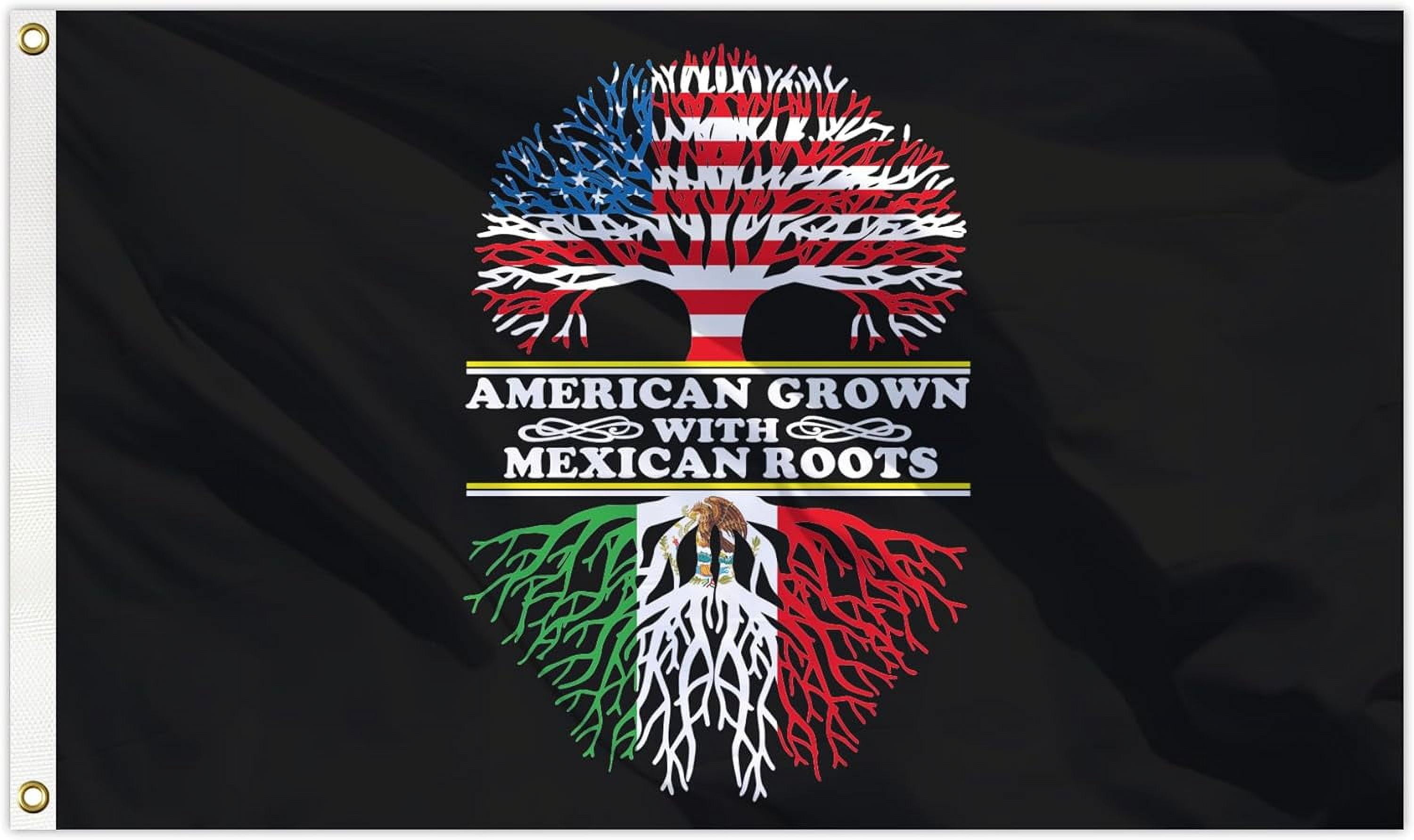 American Grown with Mexican Roots Flag American Flags Double Sided ...