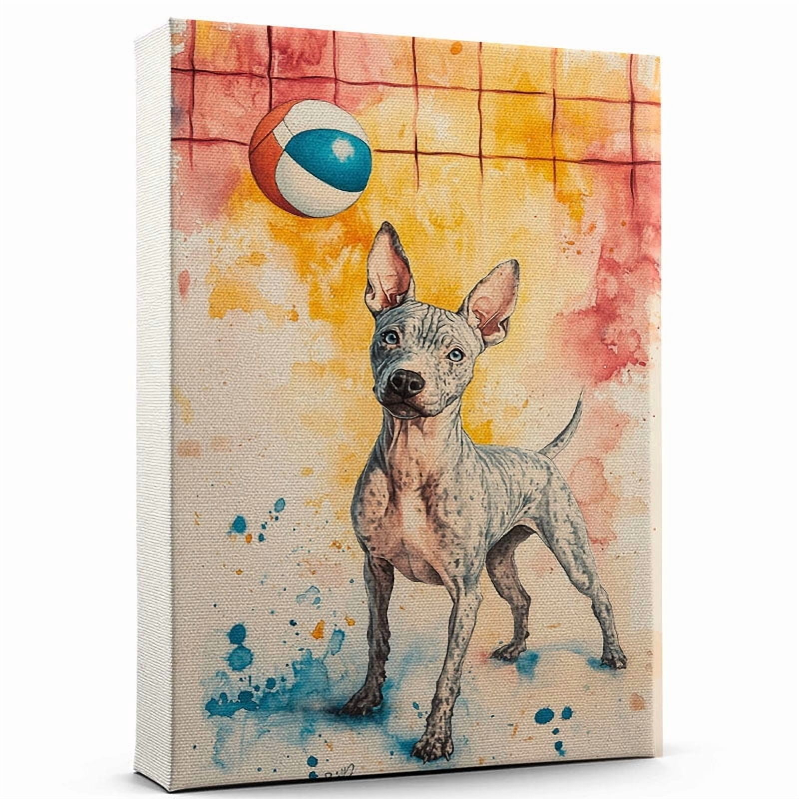 American Hairless Terrier Dog Playing Volleyball Wall Stretched Canvas ...