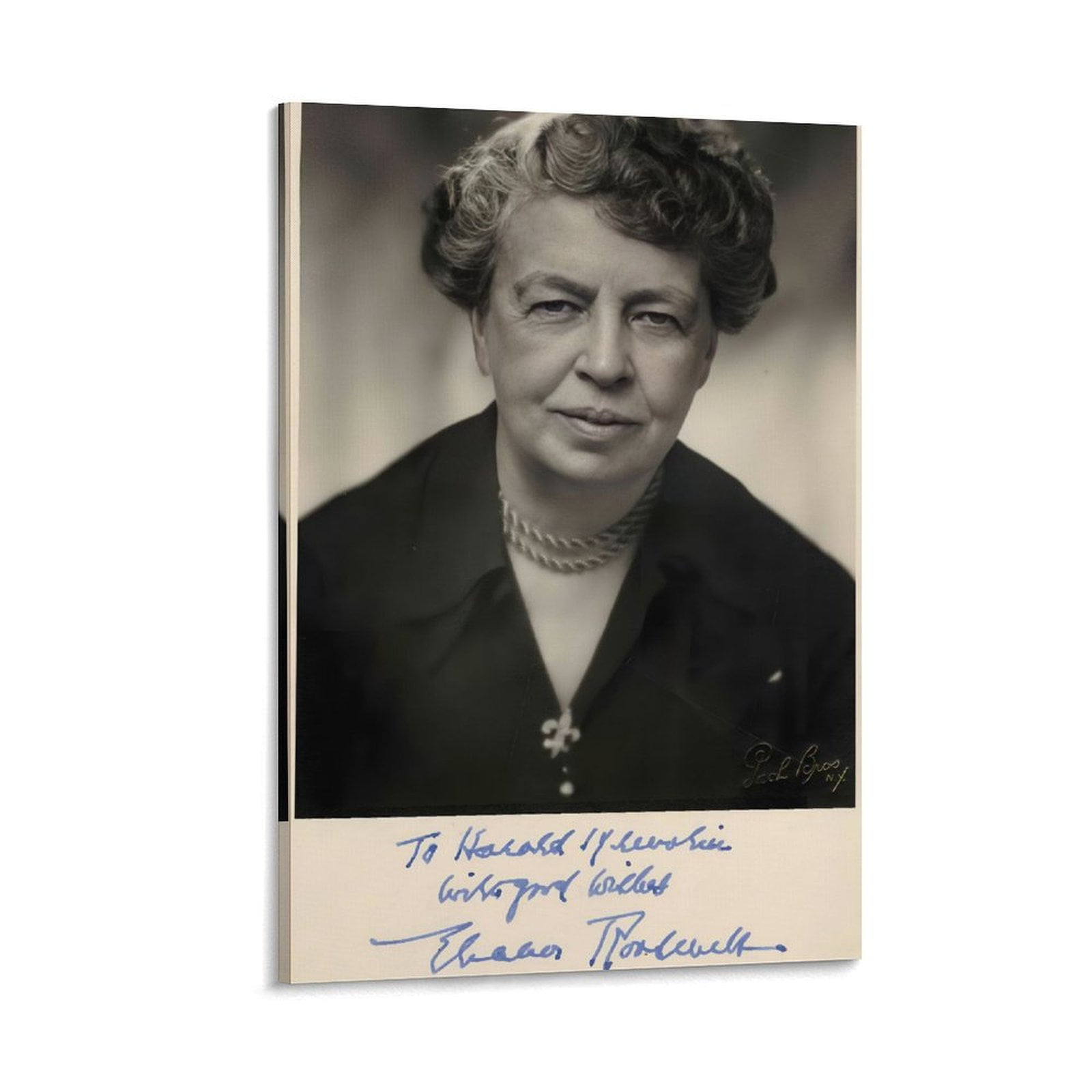 American Humanitarians Eleanor Roosevelt Retro Poster Wall Art Picture ...
