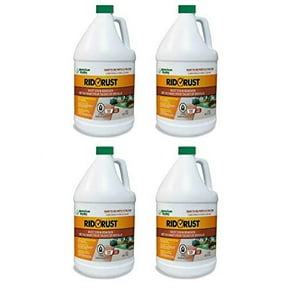 American Hydro Systems 2662 Rid O' Rust Liquid Rust Stain Remover, 2 ...