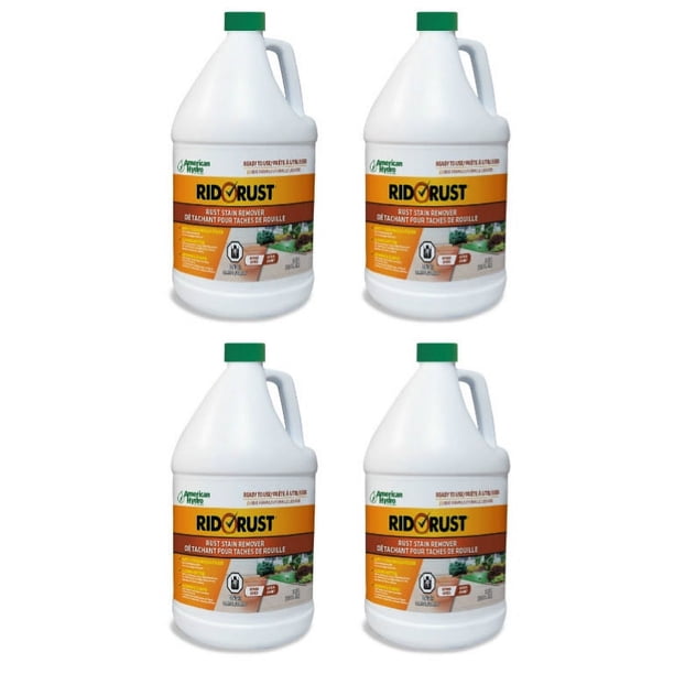 American Hydro Systems 2662 Rid O' Rust Liquid Rust Stain Remover, 1 ...