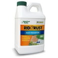 American Hydro Systems RR1 Rid O' Rust 2X Concentration Rust Inhibitor ...