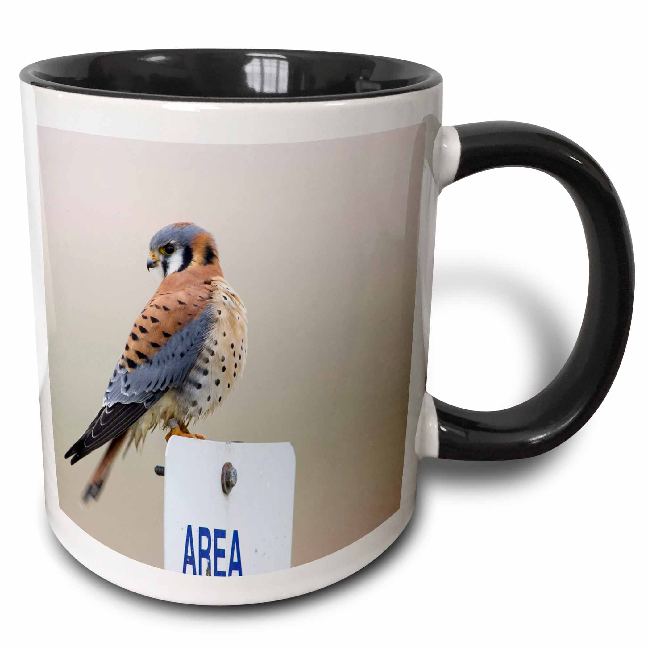 3drose, American Kestrel Bird, Ridgefield Nwr, or - Us38 Rbr0072 - Rick ...