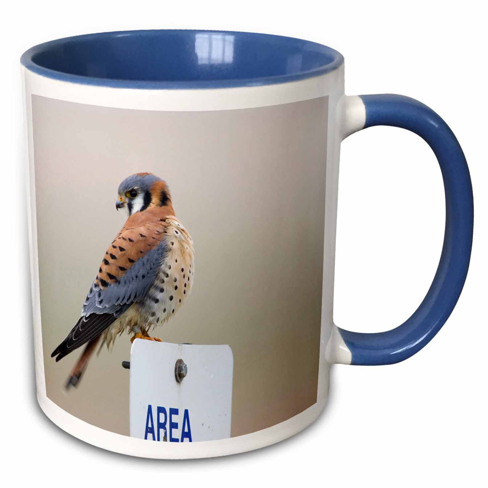 3drose, American Kestrel Bird, Ridgefield Nwr, or - Us38 Rbr0072 - Rick A. Brown, 11oz Two-tone ...