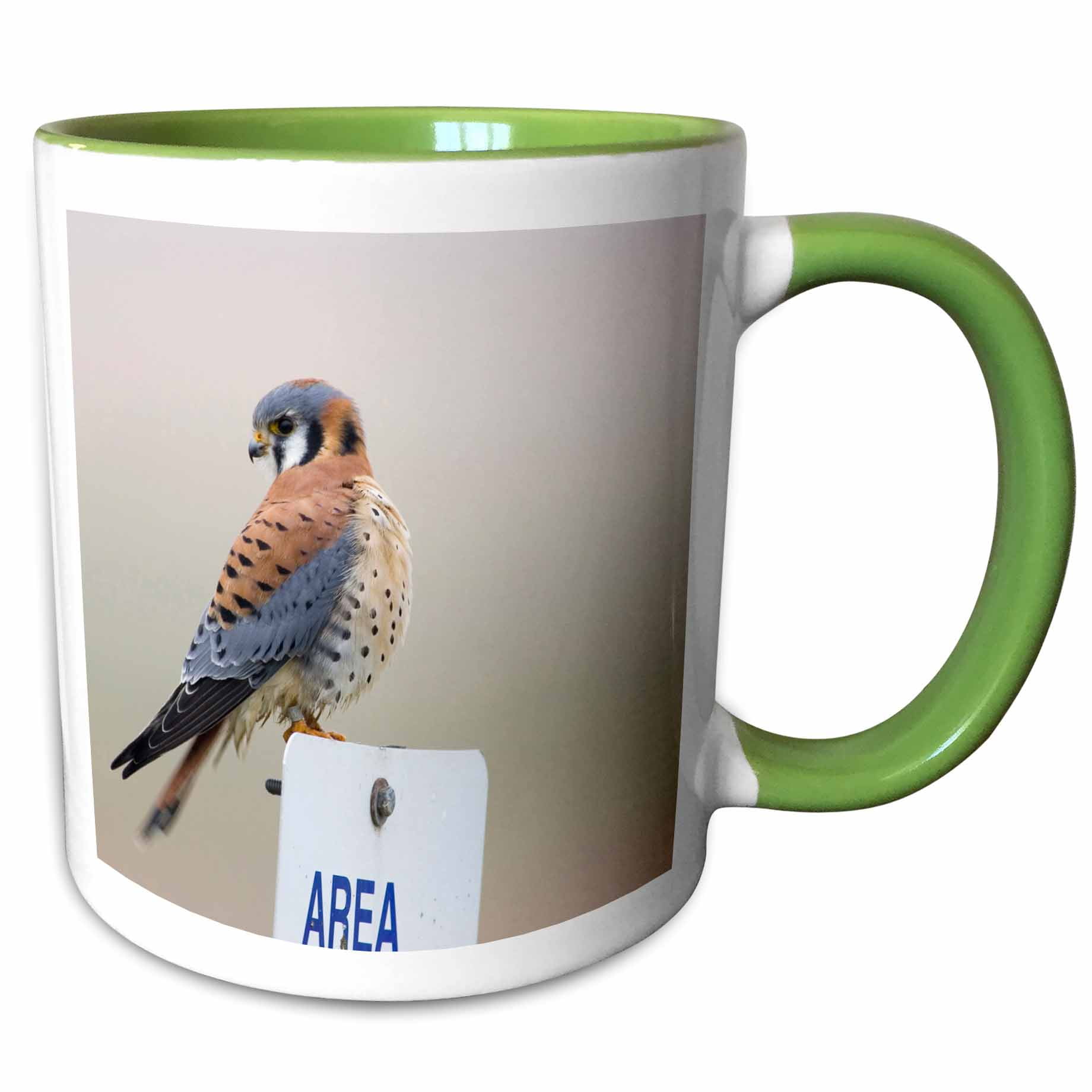 3drose, American Kestrel Bird, Ridgefield Nwr, or - Us38 Rbr0072 - Rick ...