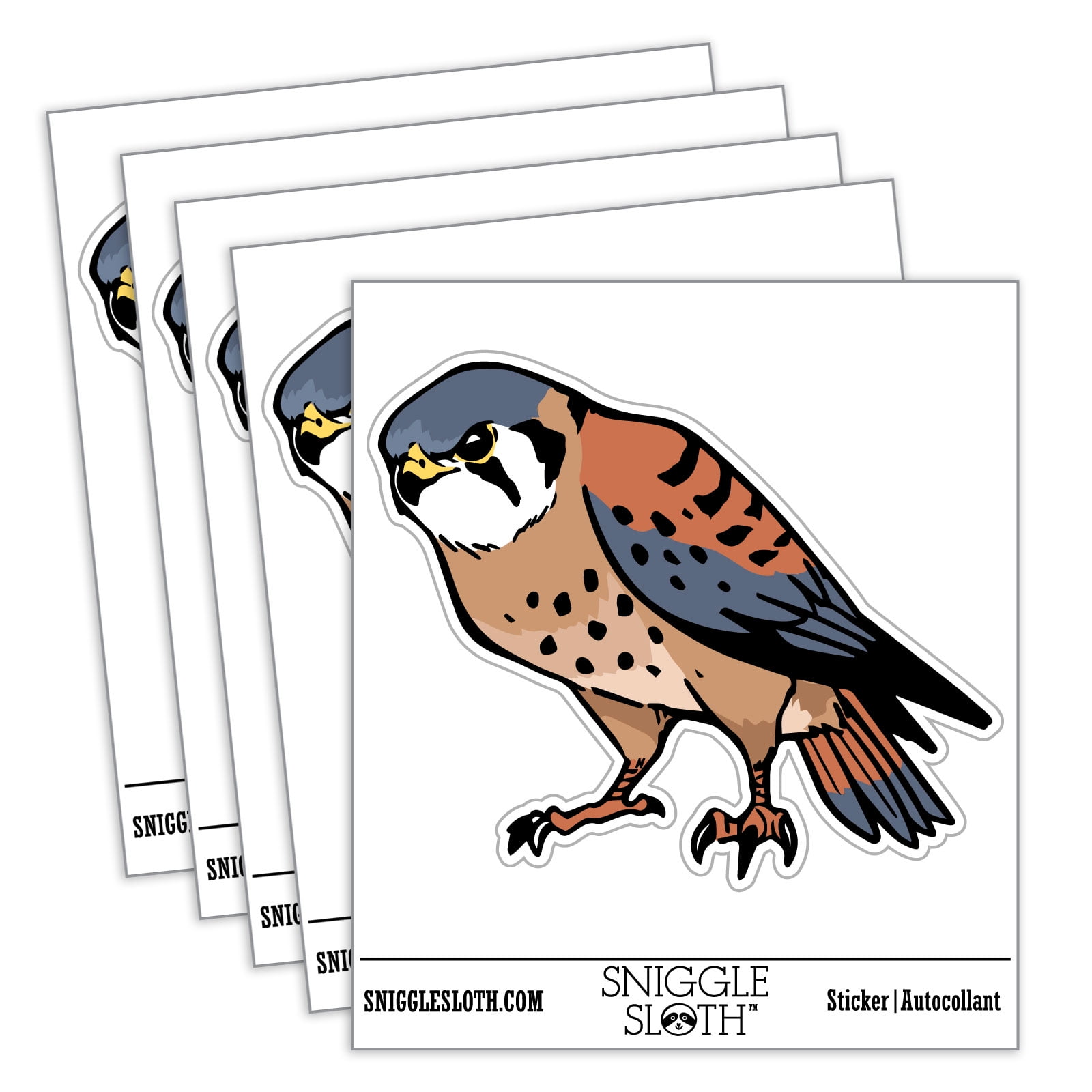 American Kestrel Falcon Bird of Prey Car Window Bumper Water Bottle ...