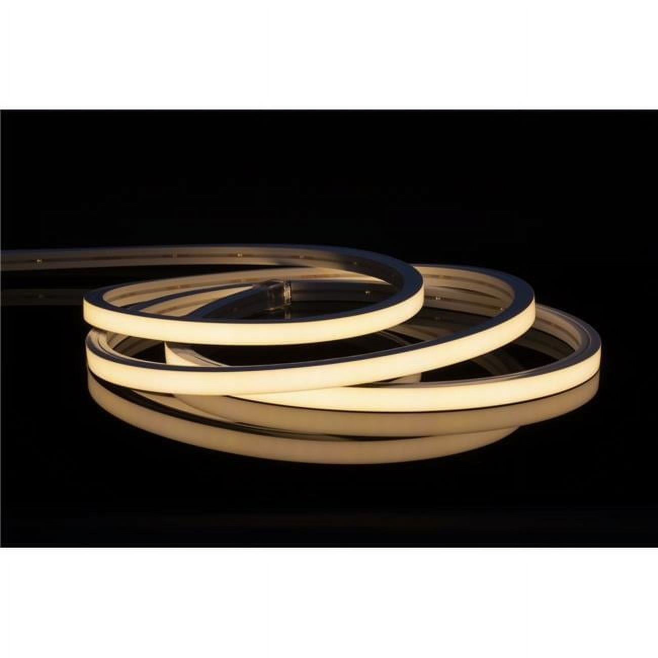 American Lighting NFPROV-30-98 98 ft. 3000K NeonFlex V Reel Strip Light ...