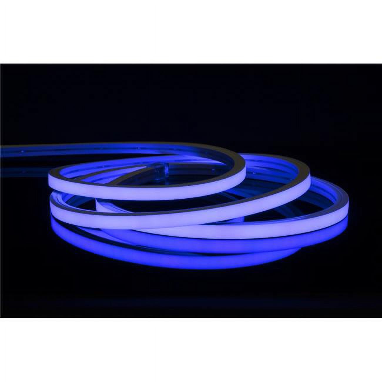 American Lighting NFPROV-BL-98 98 ft. NeonFlex V Reel Strip Light - Top ...