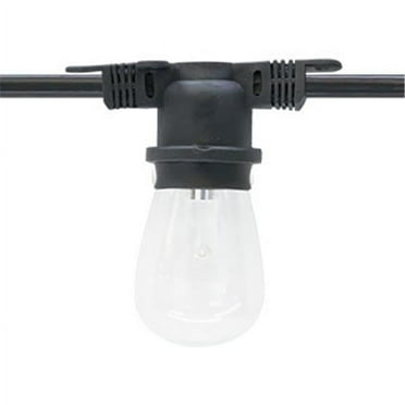 G40 Mercury Gold String Light Sets with White Wire - Walmart.com
