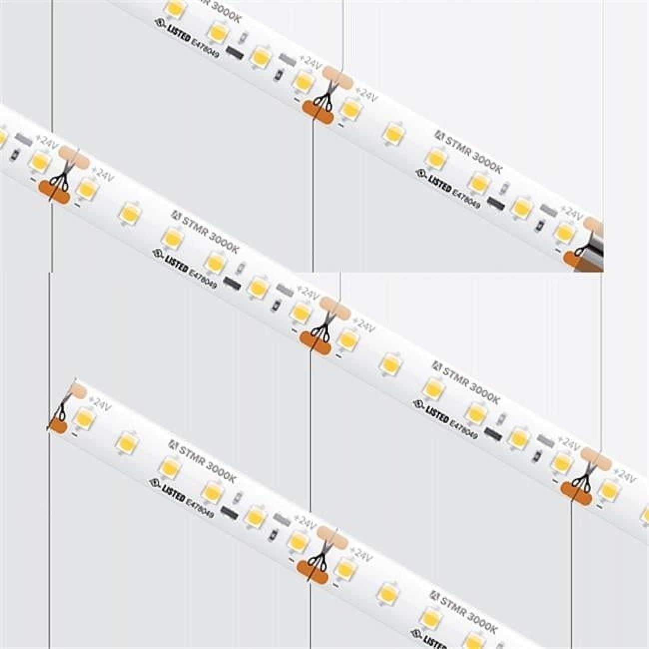 American Lighting STMR-30-65 Trulux Max Run LED Strip Light - 65.6 ft ...