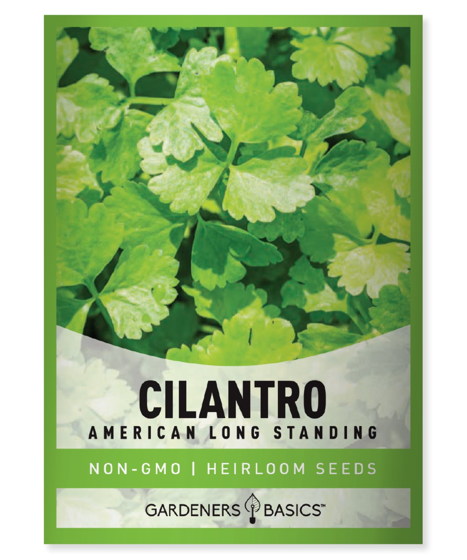 American Long Standing Cilantro Seeds - Walmart.com